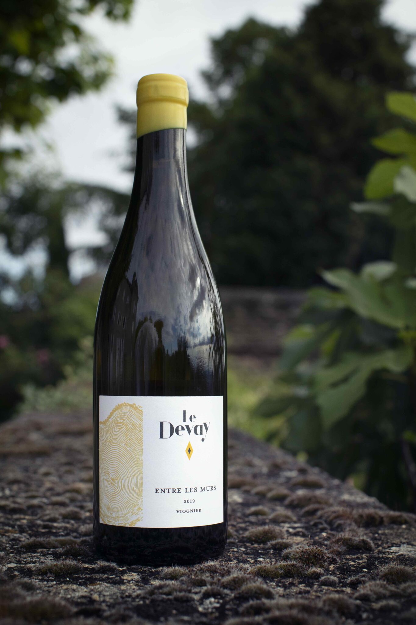 Le Devay, nouvelle égérie du Rhône nord – Corcovino